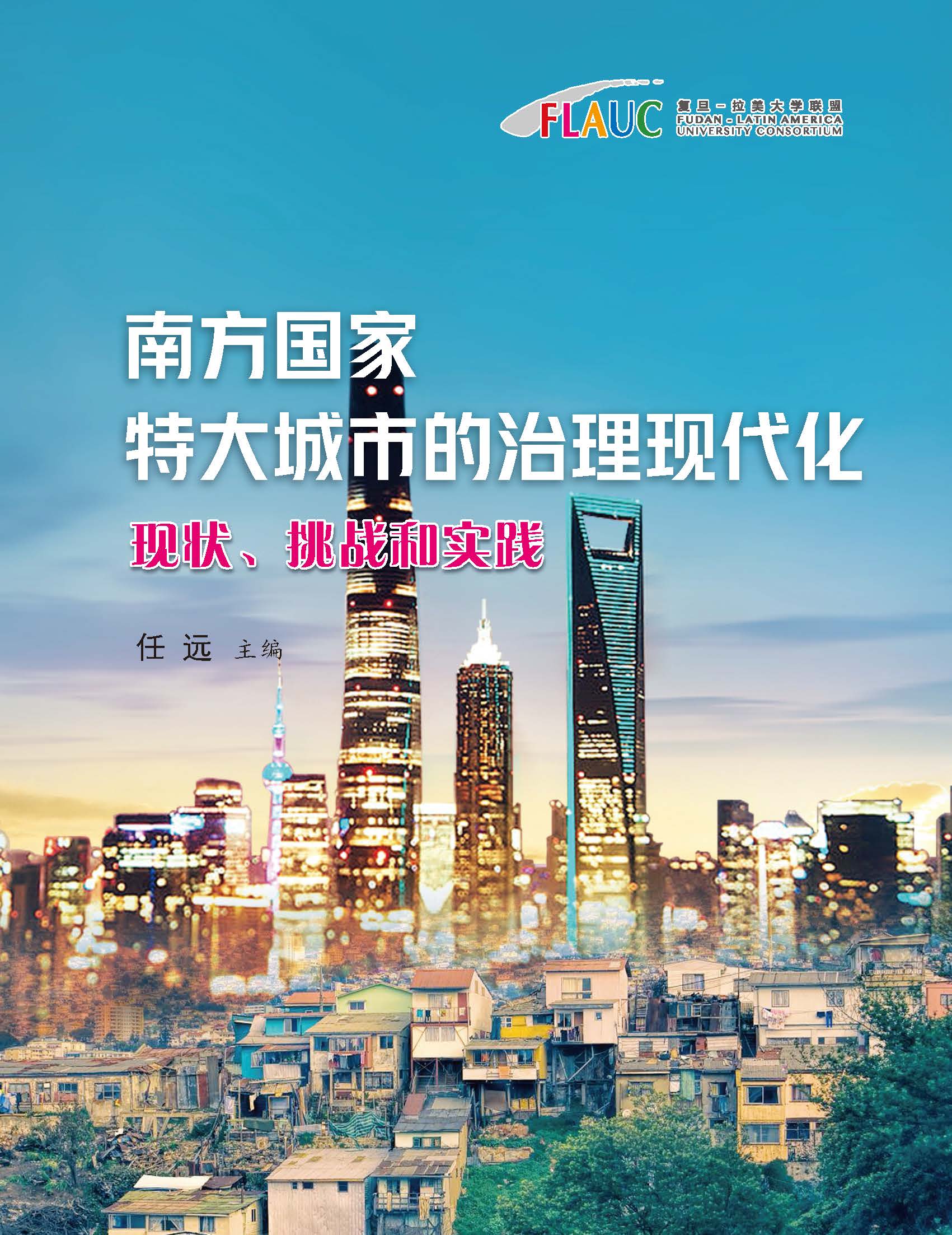 Better Megacity Governance in the Global South